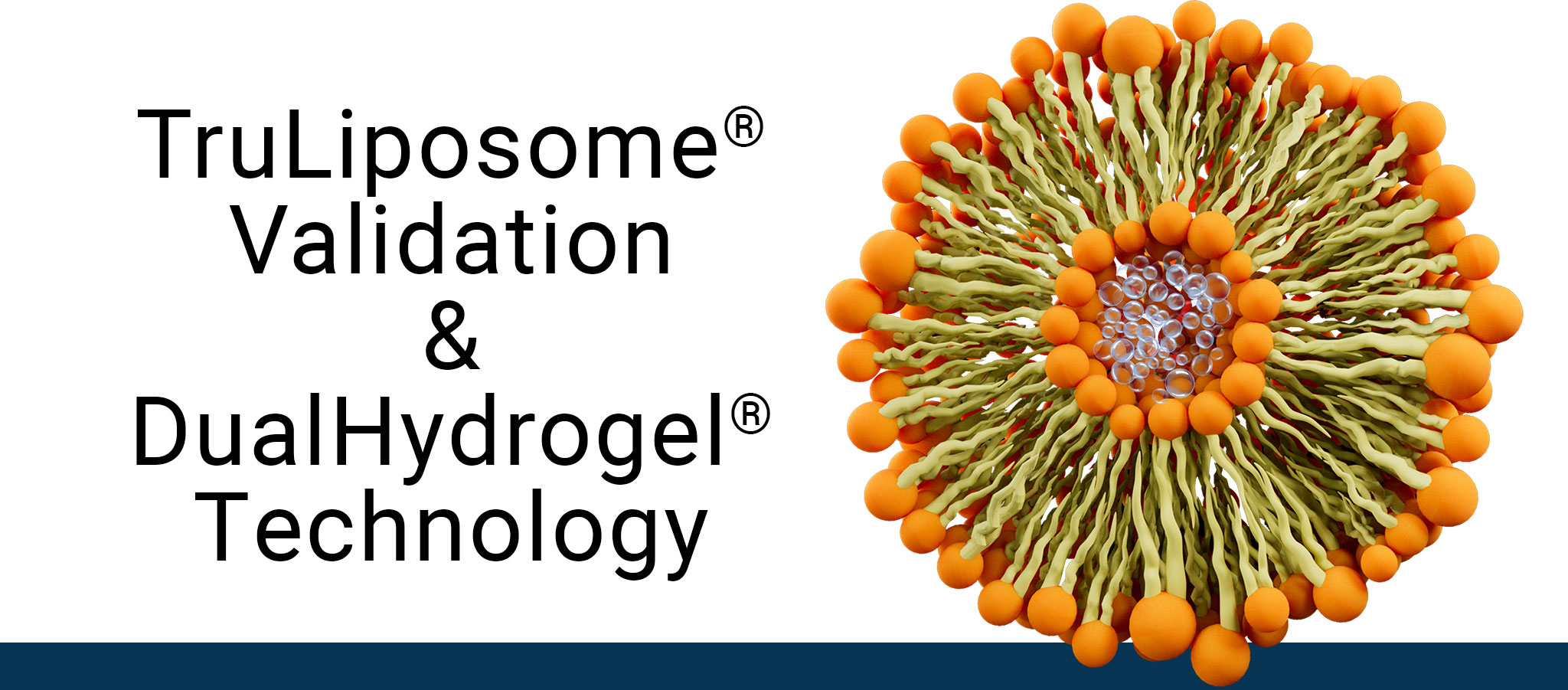 Science of Liposomal Ingredient Delivery Technology from LipoVantage ...